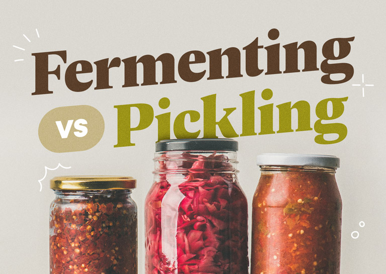 Pickling vs Fermenting: Differences & FAQs