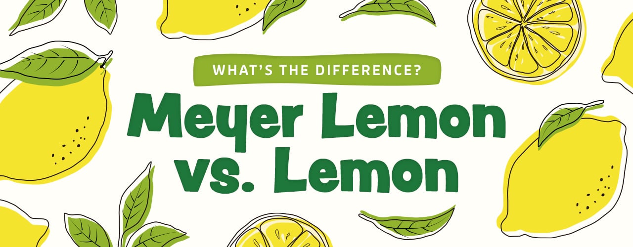 What's Special About Meyer Lemons?
