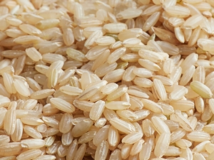 Organic Brown Short Grain Rice - 25 lb.
