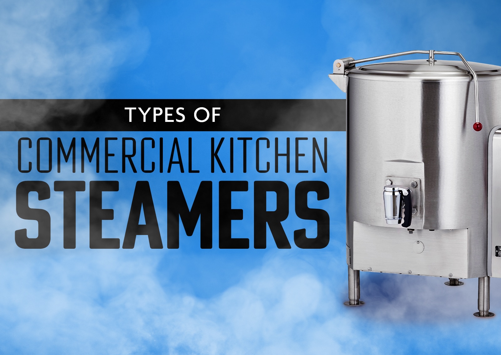 Types of Commercial Food Steamers - WebstaurantStore