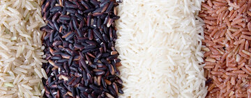 14 Types of Rice: Varieties, Textures, & Uses