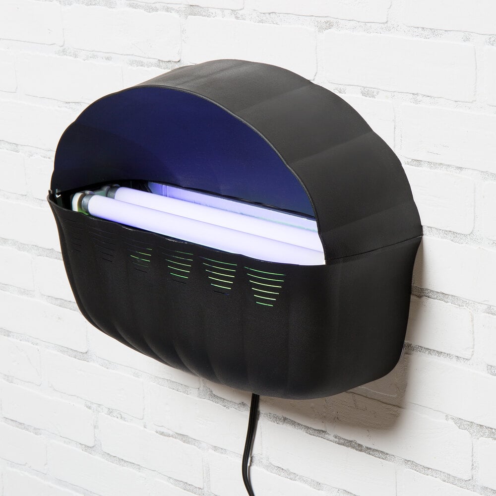 Paraclipse 350602 Insect Inn Black Ultra Two Fly Trap, 4000 sq. ft ...