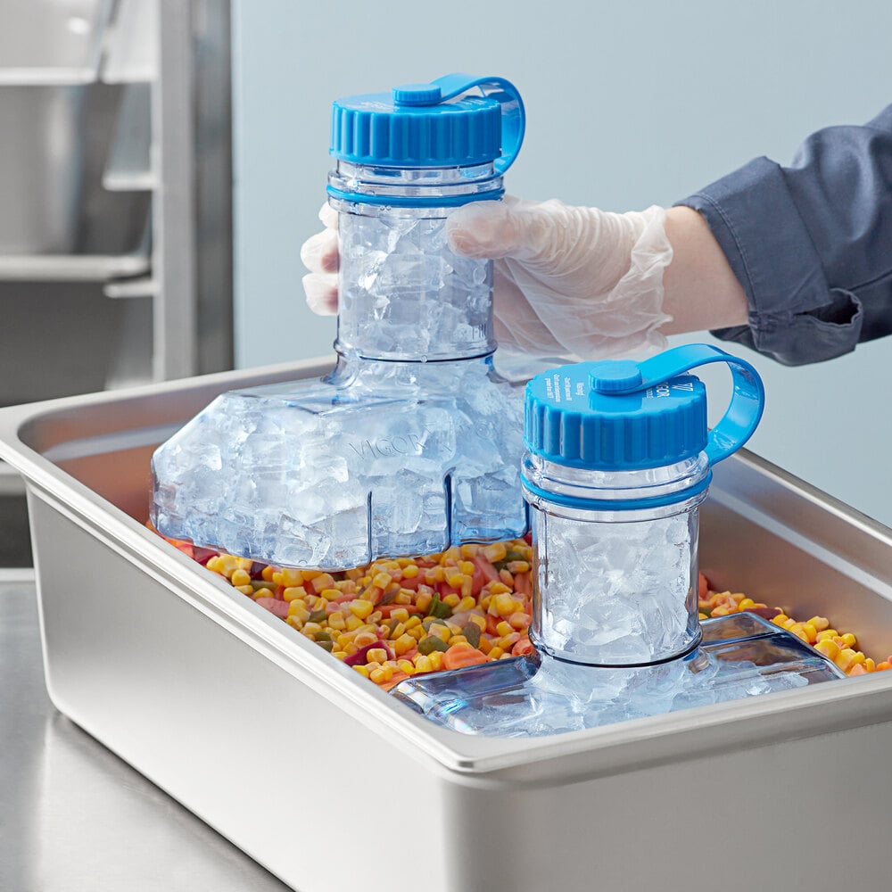 Vigor Polar Paddle 2 Liter; (67 oz.) Blue Cooling Paddle for Hotel ...