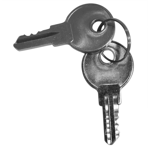 Turbo Air P0138A0100-K Key Set