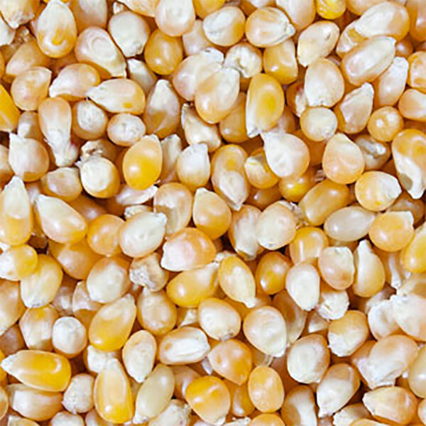 Reist 50 lb. HI-POP Organic Butterfly Popcorn Kernels