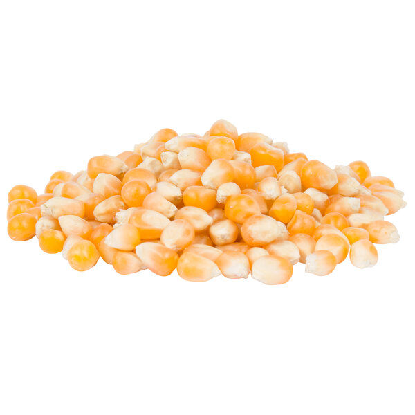 Reist 50 lb. HI-POP Organic Butterfly Popcorn Kernels
