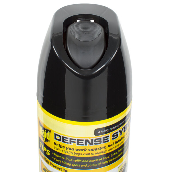 SC Johnson Raid® 300819 15 oz. Aerosol Multi Insect Bug Killer Spray