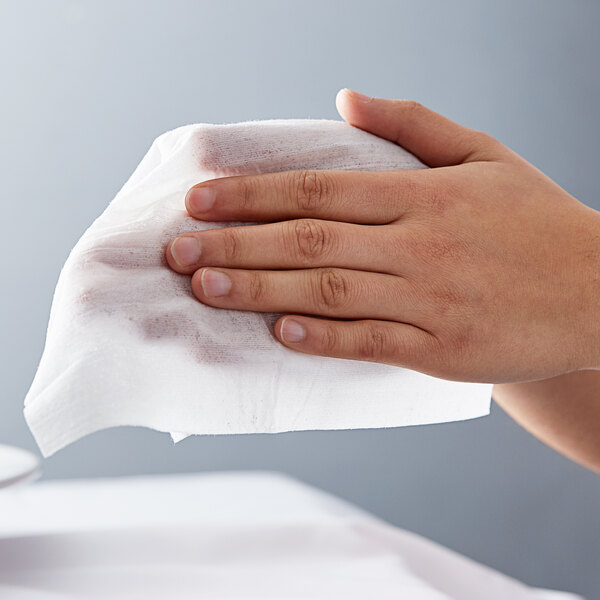 Premium Wet Wipe / Wet Nap (8" x 7 1/2") - 250/Case