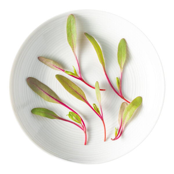 Fresh Origins Micro Bull's Blood 8 oz.