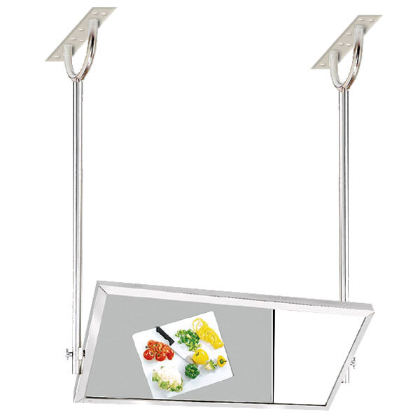 Advance Tabco MI-48 24" x 48" Ceiling Mounted Tilting Demo Mirror