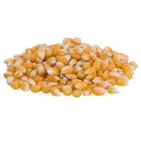 Bulk Popcorn Kernels | Wholesale Popcorn Kernels