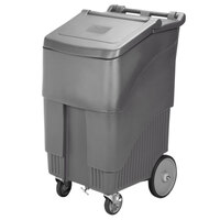 Portable Ice Bin | Mobile Ice Bin