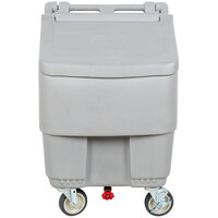 Portable Ice Bin | Mobile Ice Bin