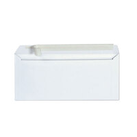 Envelopes | Mailers | Mailing Envelopes