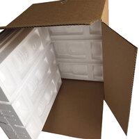 Insulated Shipping Boxes | Foam Shipping Boxes