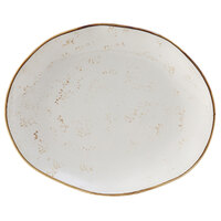 Tuxton Artisan Geode China Dinnerware | WebstaurantStore