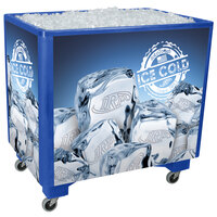 Ice Bin Merchandisers and Coolers | WebstaurantStore