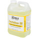 Noble Chemical 2.5 Gallon / 320 oz. Destainer III - 2/Case