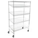 Regency Chrome 5-Shelf Angled Mobile Merchandising Rack - 24" x 48" x 69"