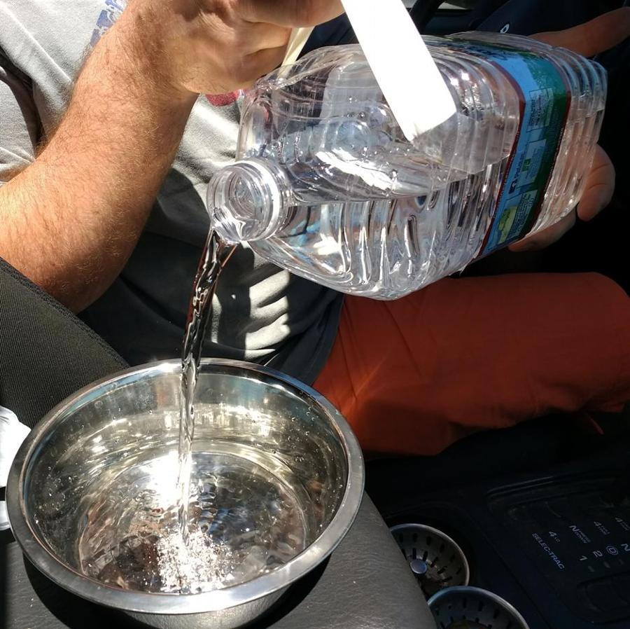 Crystal Geyser 1 Gallon Natural Spring Water - 6/Case