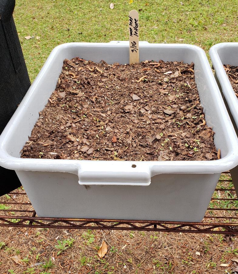 Choice Gray Polypropylene Bus Box: Shop WebstaurantStore