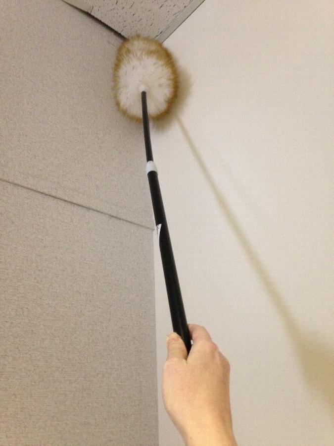 Carlisle 4573300 30"-45" Lambs Wool Hi Duster