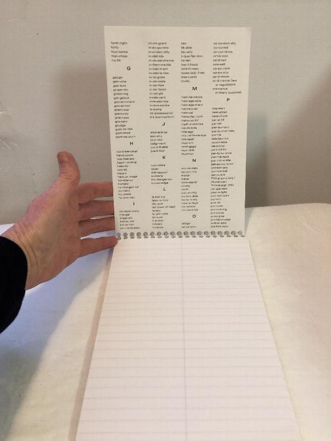 Mead 43082 6" x 9" White Gregg Rule Spell-Write Spiral Steno Book - 80 ...