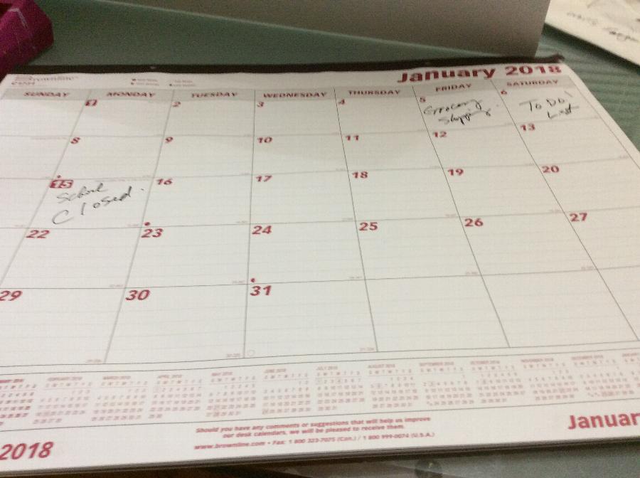 Rediform C1731 Brownline 22" x 17" White / Burgundy Monthly January ...