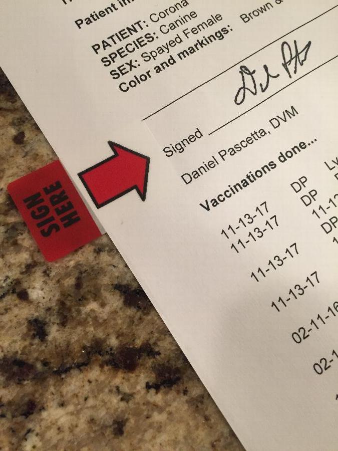 Redi-Tag 76809 Red "Sign Here" Removable Page Flag - 50/Pack