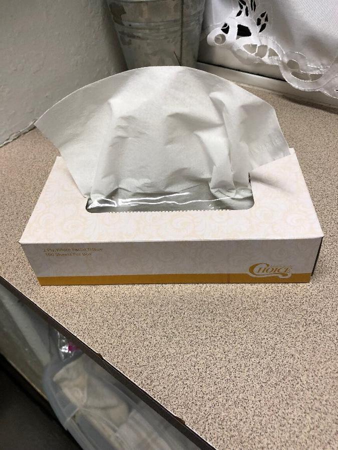 Choice 2-Ply Facial Tissue Boxes - 30/Case