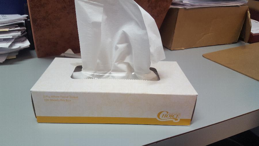 Choice 2-Ply Facial Tissue Boxes - 30/Case