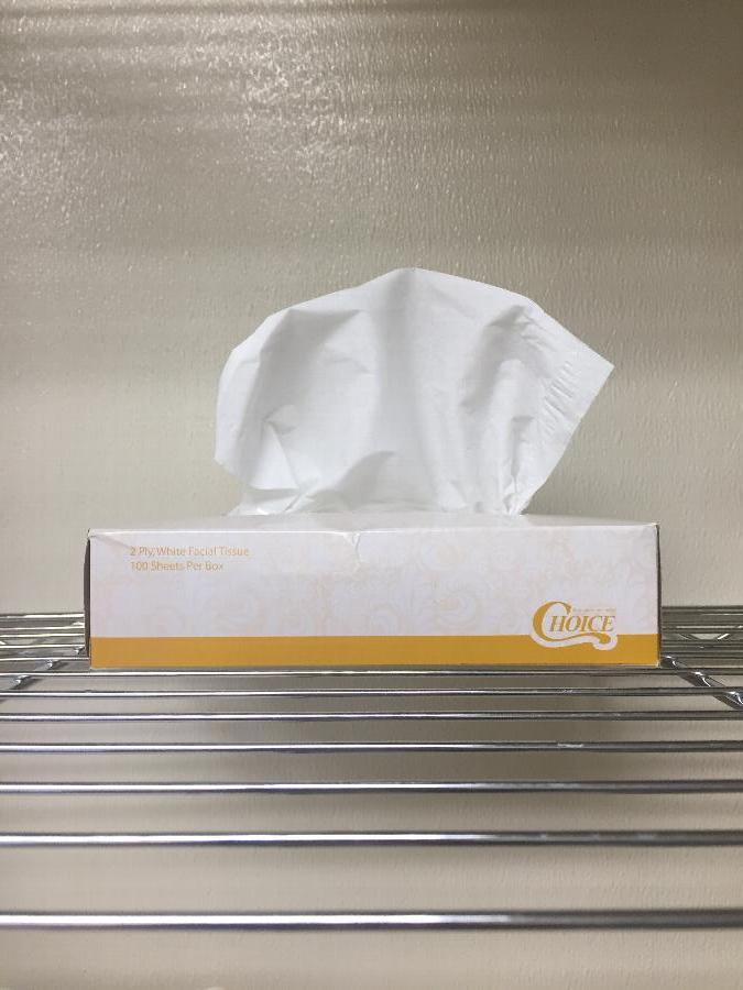 Choice 2-Ply Facial Tissue Boxes - 30/Case