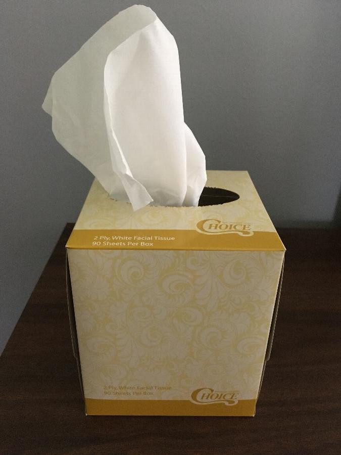 Choice 2-Ply Facial Tissue Cube - 36/Case
