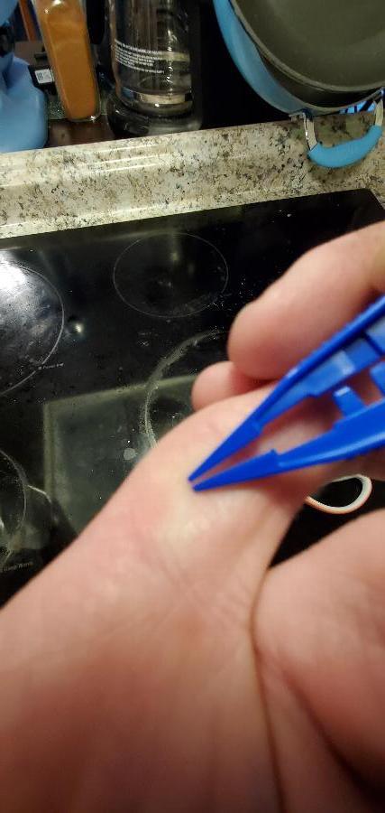 Medi-First Disposable Plastic Tweezers - 4 1/2 Medi-First Disposable Plastic Tweezers - 4 1/2