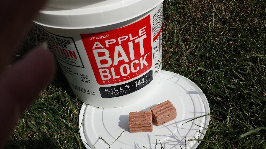 JT Eaton 709-AP Apple Flavor Bait Blocks - (144) 1 oz. Blocks / Pail