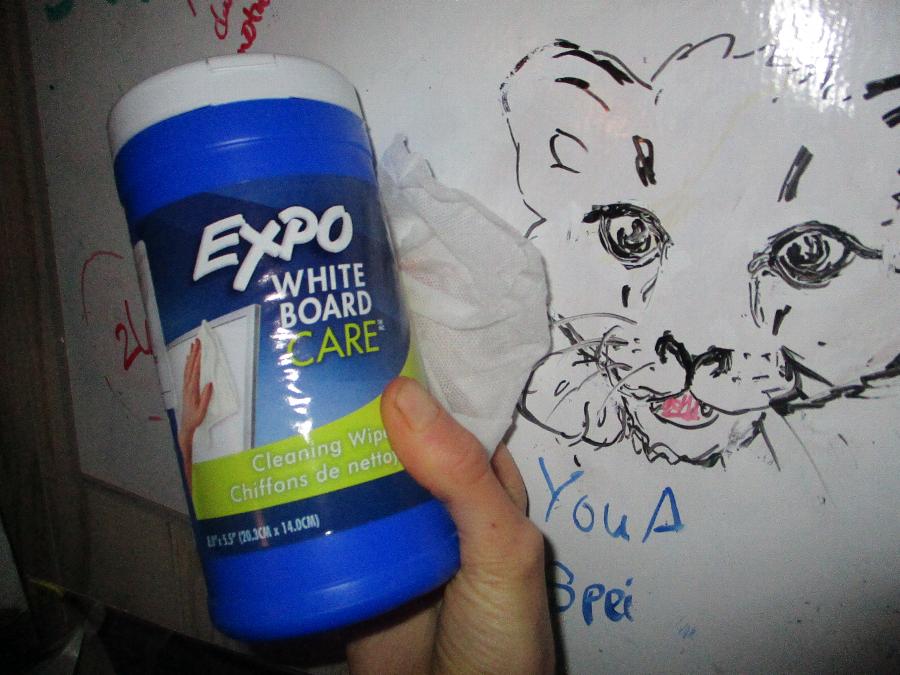 Expo Cleaning Wipes | WebstaurantStore