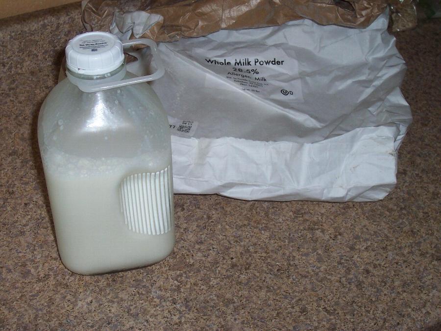 Whole Milk Powder in Bulk (28.5% Fat) - 50 lb. Case