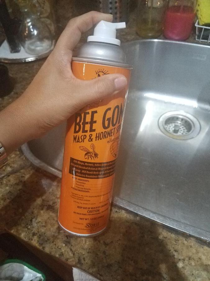 Noble Chemical 12 oz. Bee Gone Wasp & Hornet Spray - 12/Case