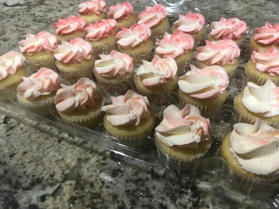 Mini Cupcake Containers: Holds 24 Mini Cupcakes, 11/Pack