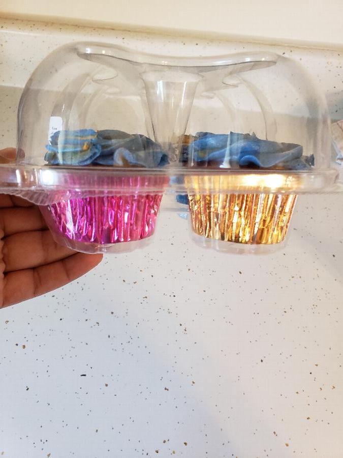 4 Compartment Clear Hinged High Dome Cupcake Container - 225/Case