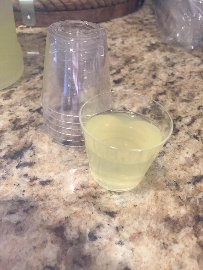 Choice 1 oz. Clear Plastic Shot Glass - 50/Pack