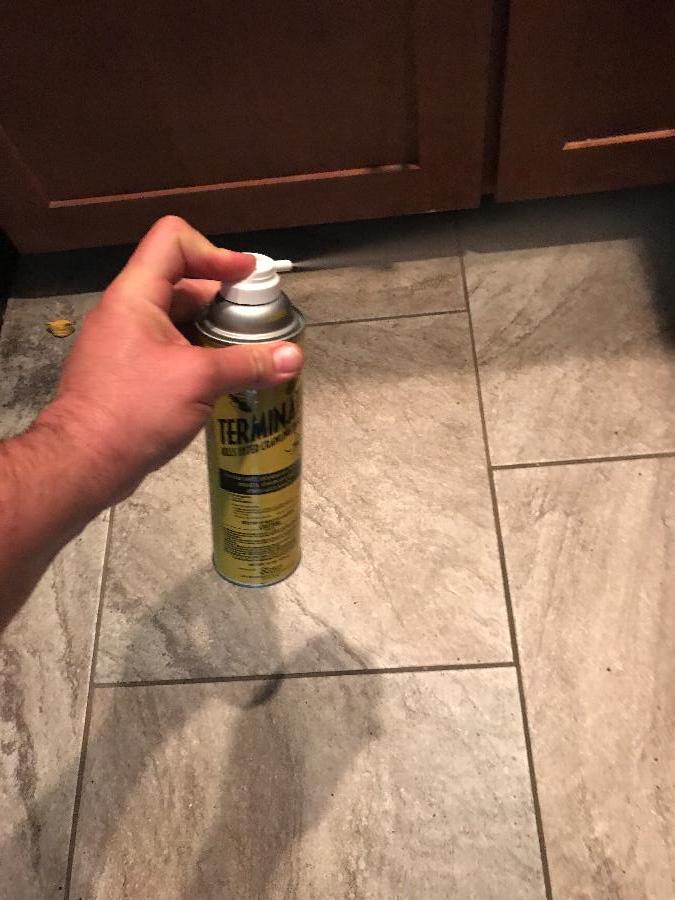 Aerosol Crawling Insect Spray | Crawling Insect Killer