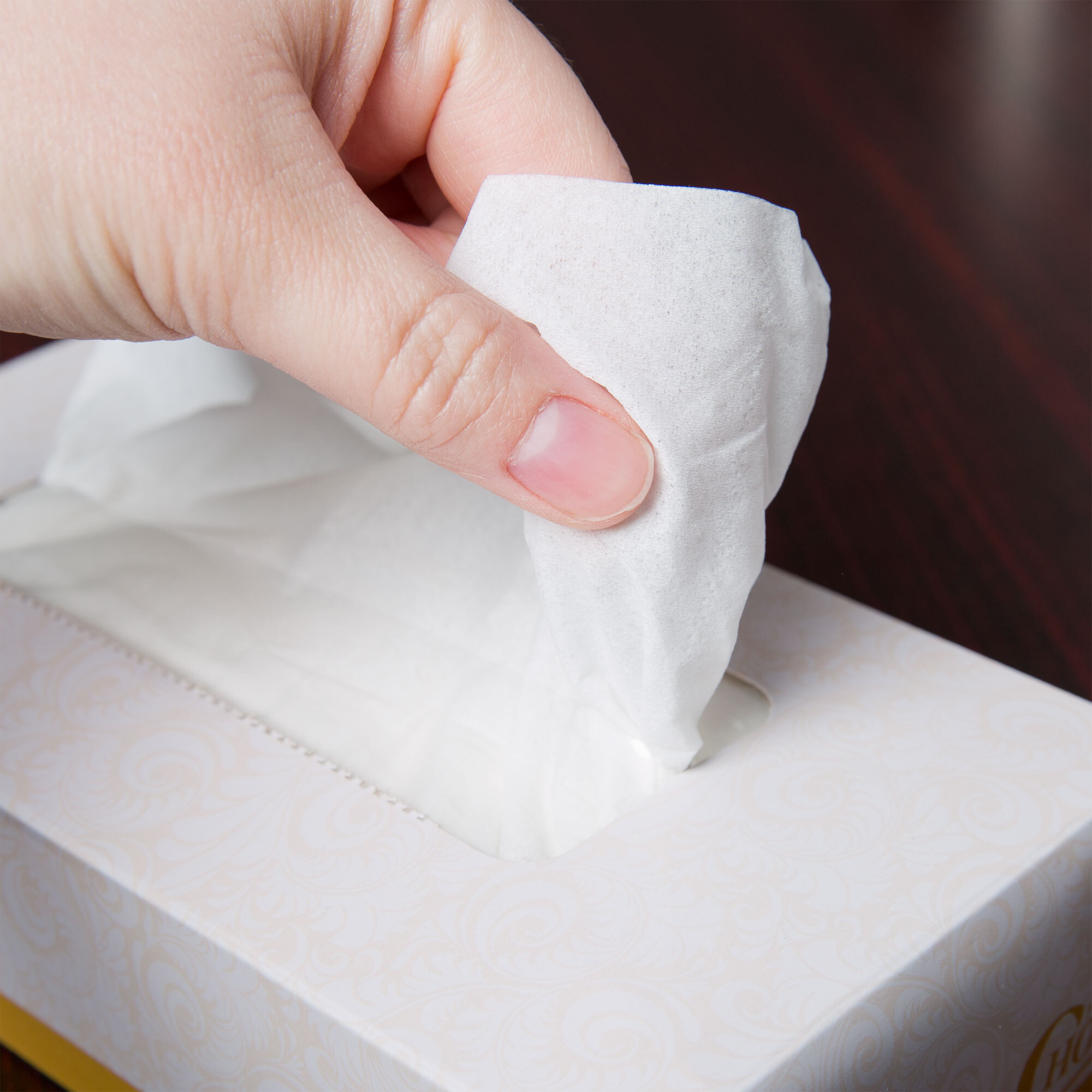 Choice 2-Ply Facial Tissue Boxes - 30/Case