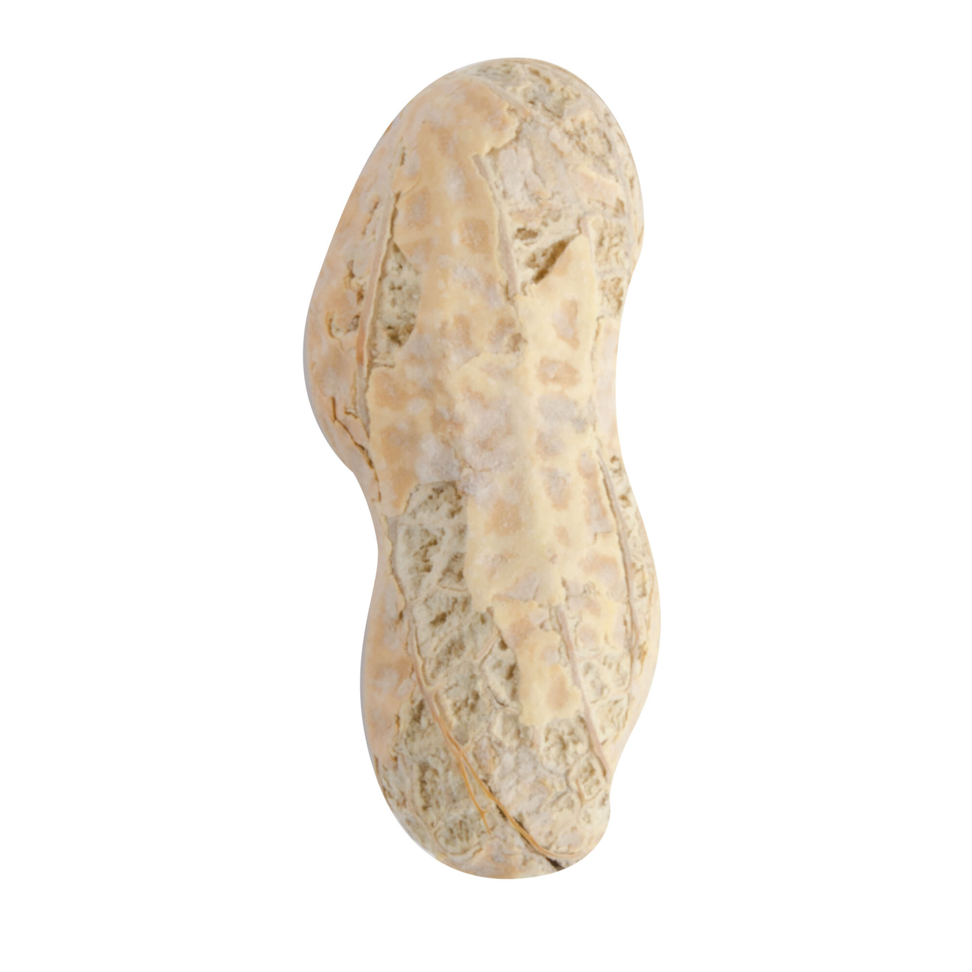 Hampton Farms 0.5 lb. Roasted & Salted In-Shell Peanuts - 36/Case