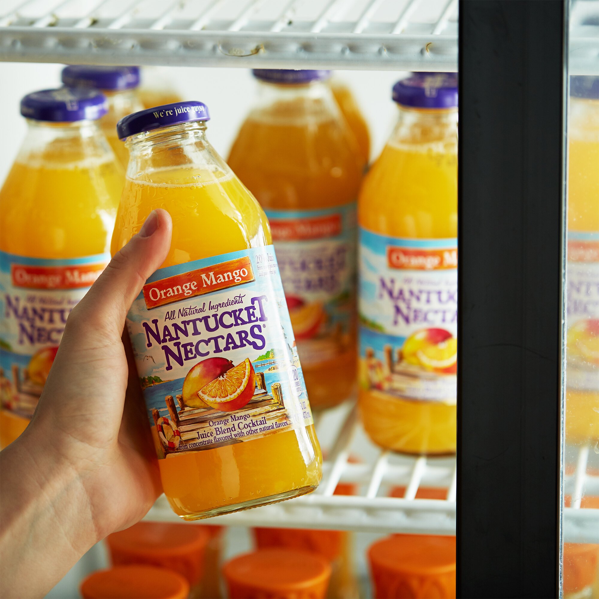 Nantucket Nectars 16 fl. oz. Orange Mango Juice - 12/Case