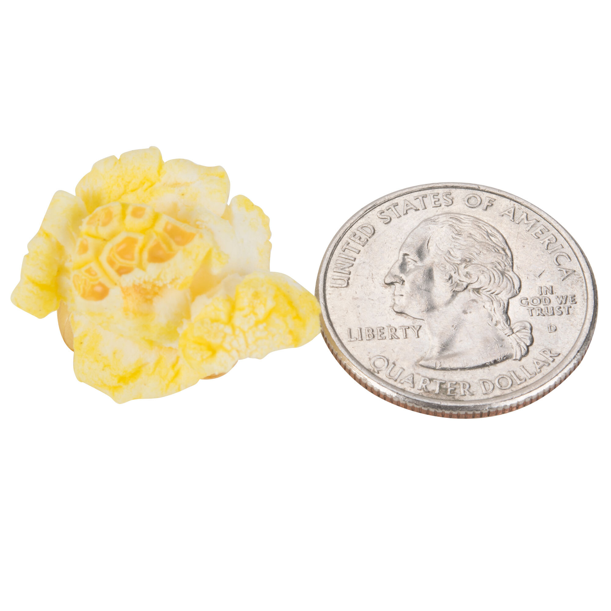 Reist Popcorn 50 lb. Bulk Bag of Hi Pop Mushroom Popcorn Kernels ...