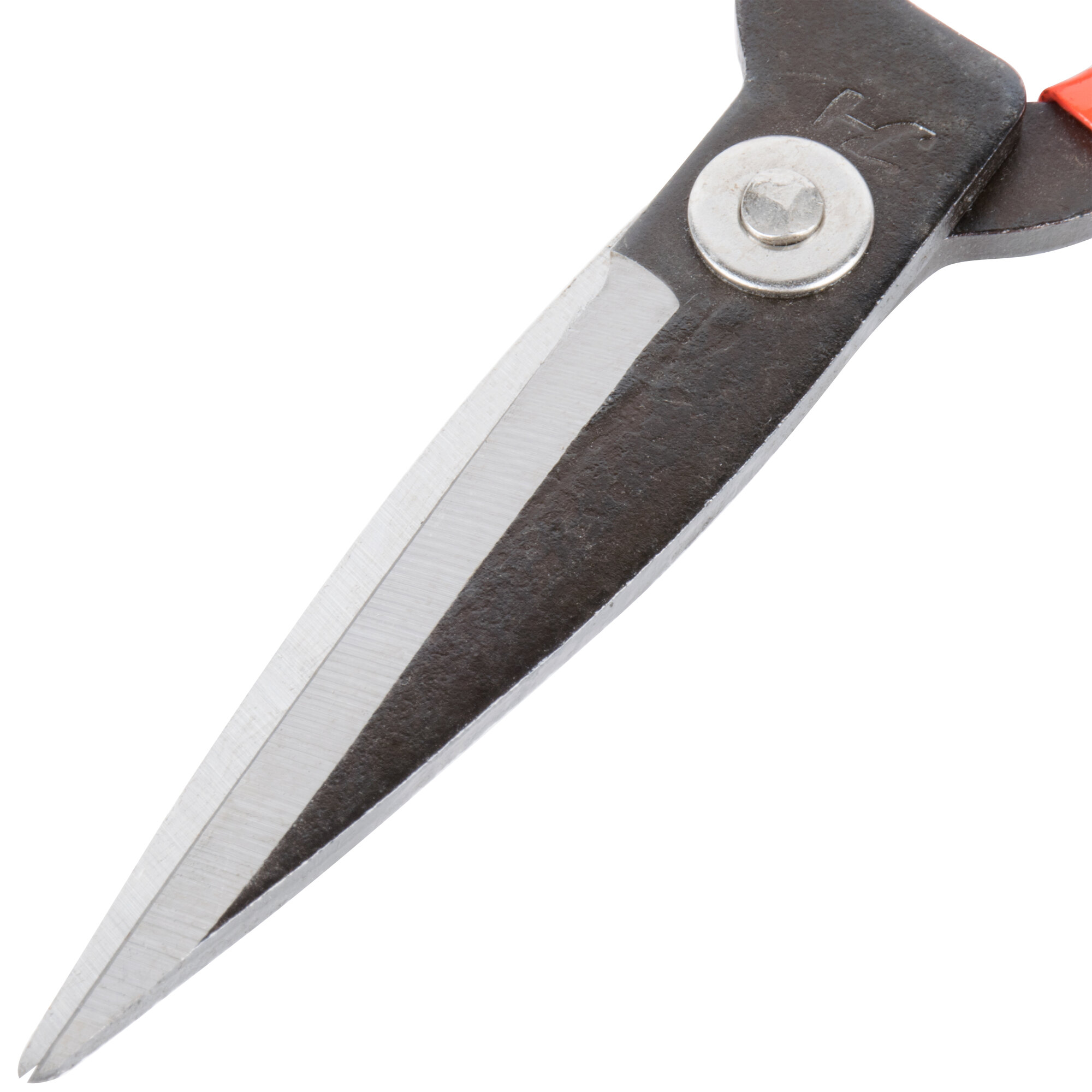 4" Nickel-Plated Steel Fish Shears