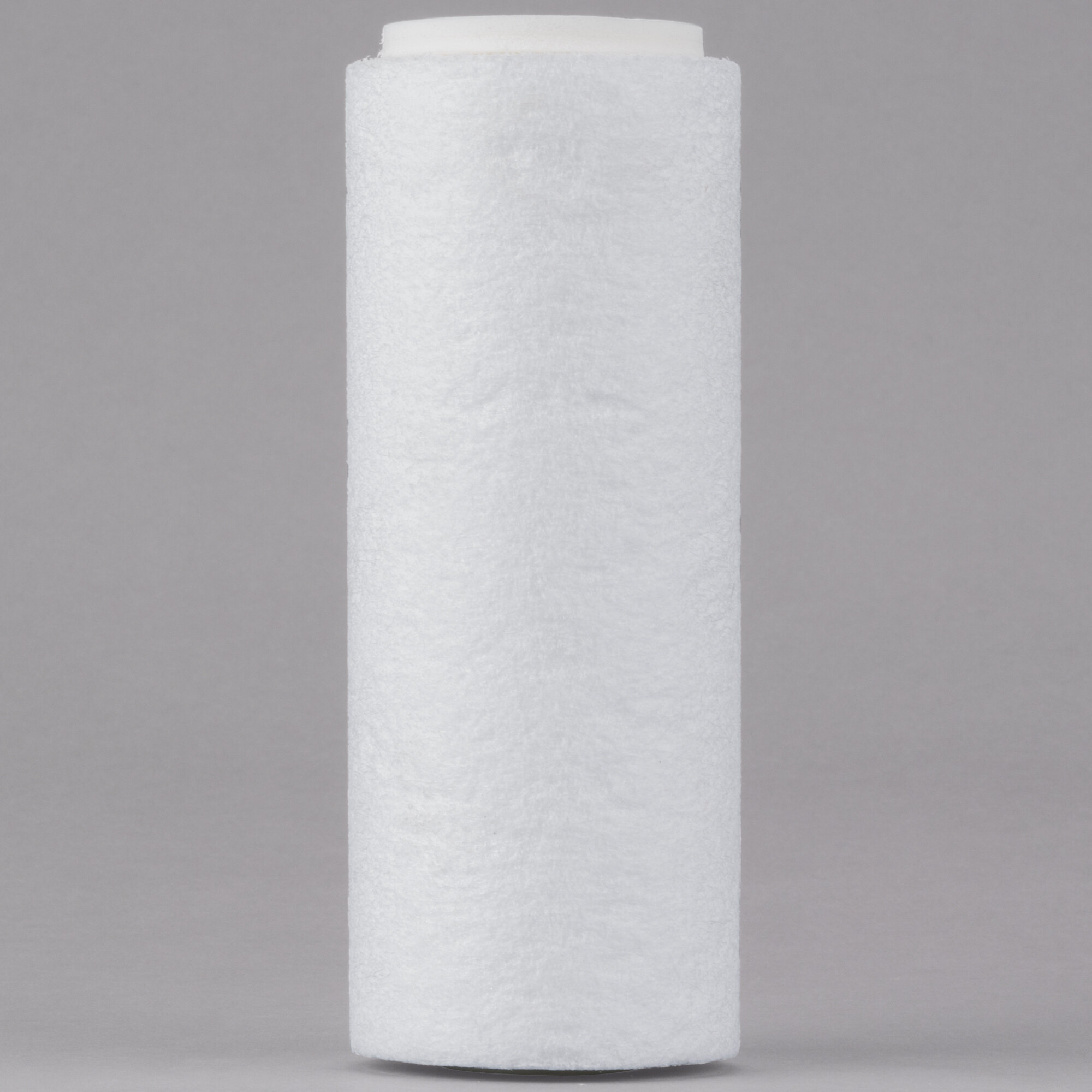 3M Water Filtration Products CFS9005-IMF 14 3/8" Retrofit Scale ...