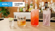 Acopa Gardenia Glassware Video | WebstaurantStore