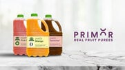 Primor Real Fruit Purees - Overview Video | WebstaurantStore